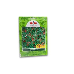 10+ Rekomendasi Bibit Cabe Terbaik, Jenis Cabe Rawit dan Cabe Besar